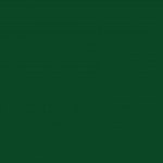 Firstmark flex film - pantone 871C Thickness: 110 µm Dimension: 0.5 x 1 ...